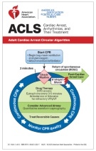 ACLS Digital Reference Cards 1